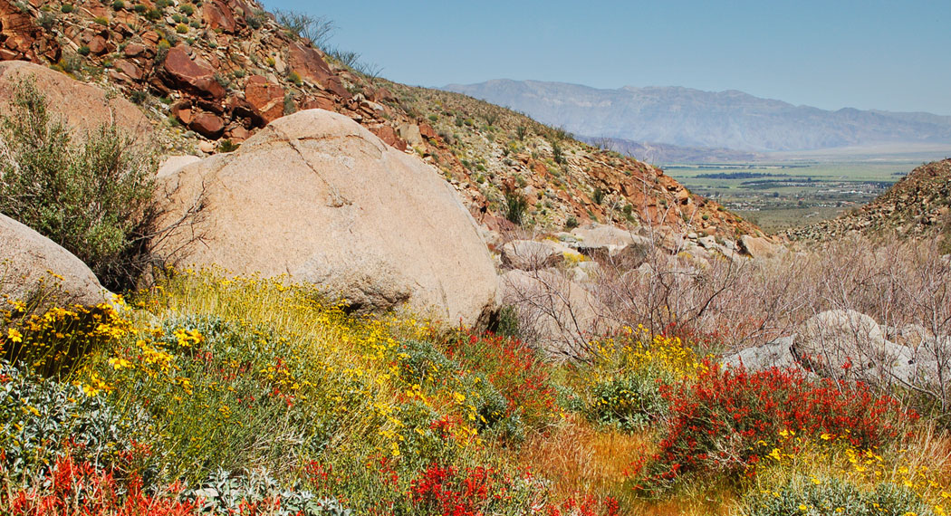 Pinole Surgery Kourosh Harandi Dentist Walnut Creek CA Periodontist ...