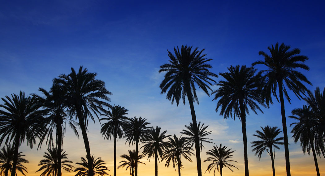 Kourosh Harandi DDS., MS. Periodontist Walnut Creek CA